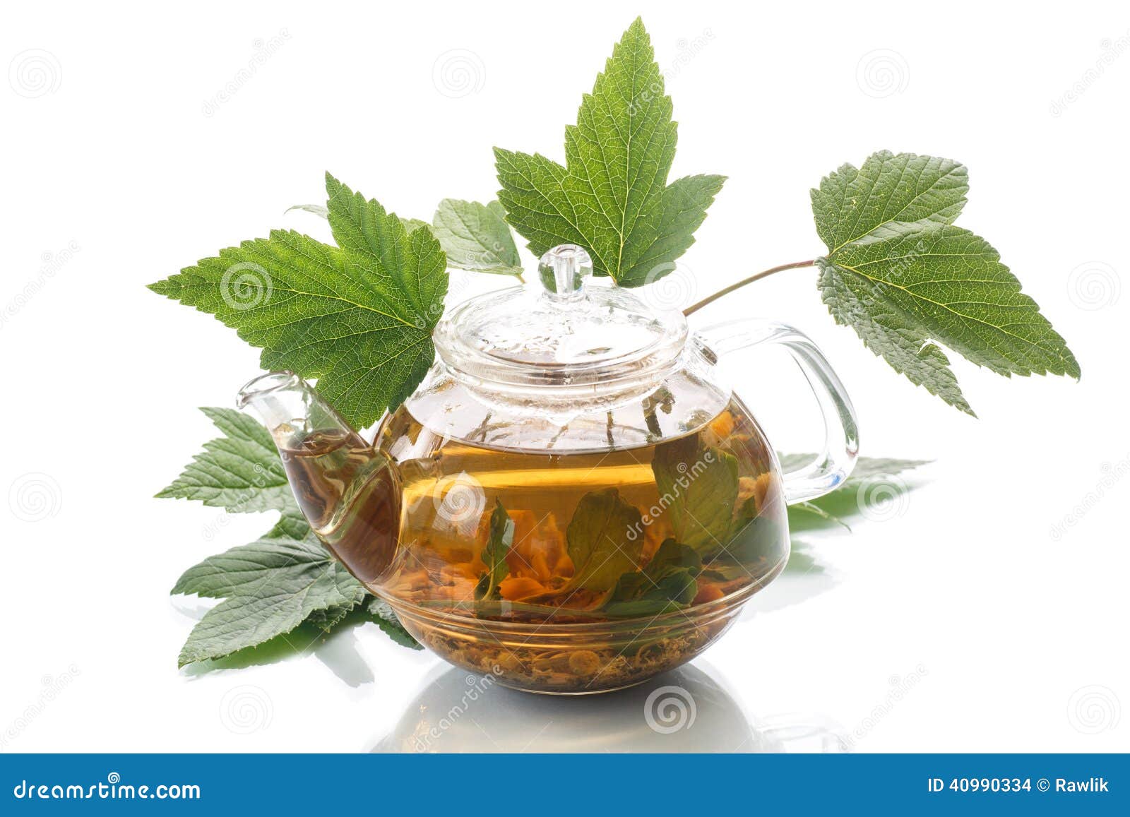 Medicinal Tea from the Leaves of Currants Stock Photo - Image of health ...