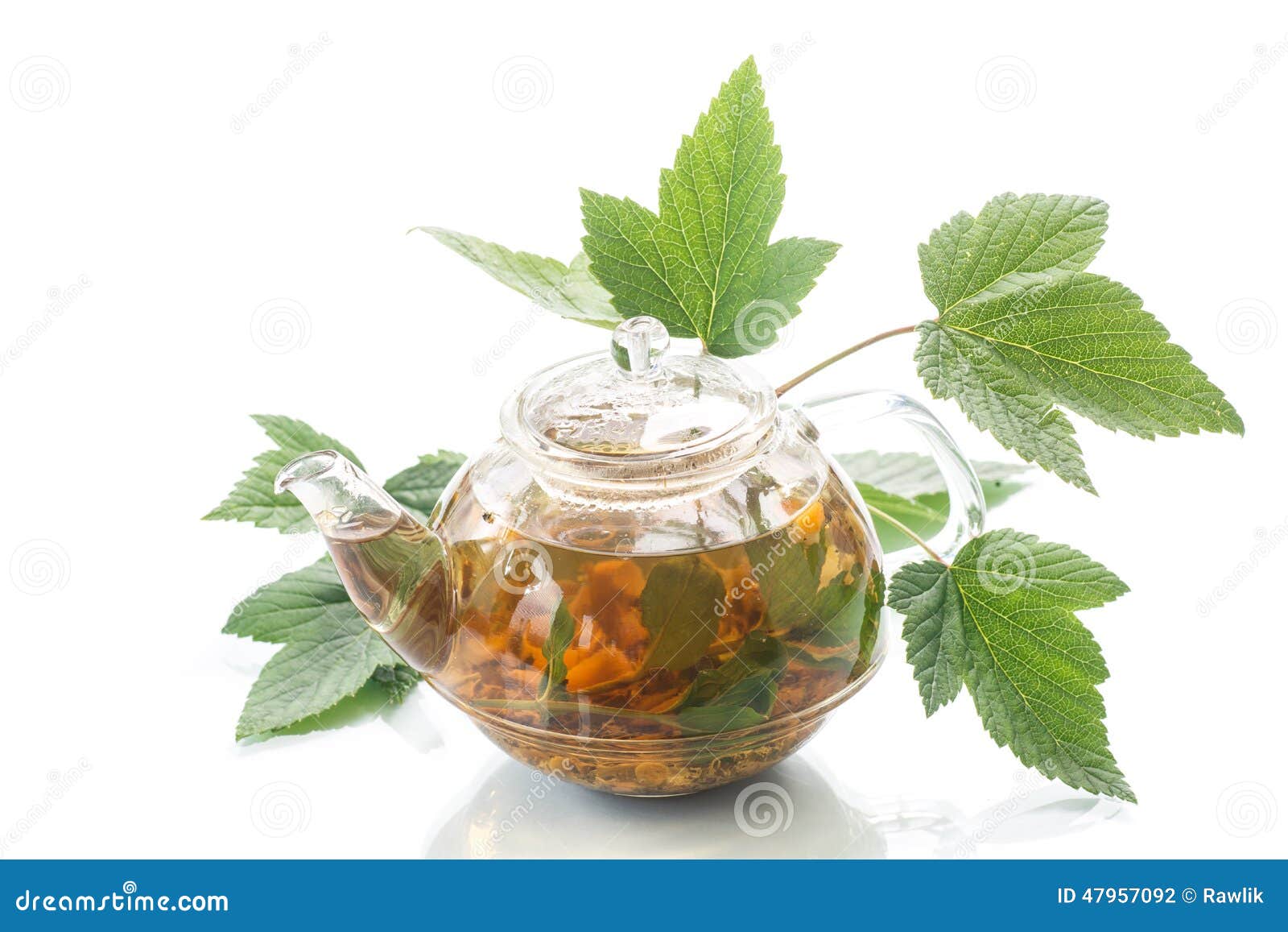 Medicinal Tea from the Leaves of Currants Stock Photo - Image of leaves ...
