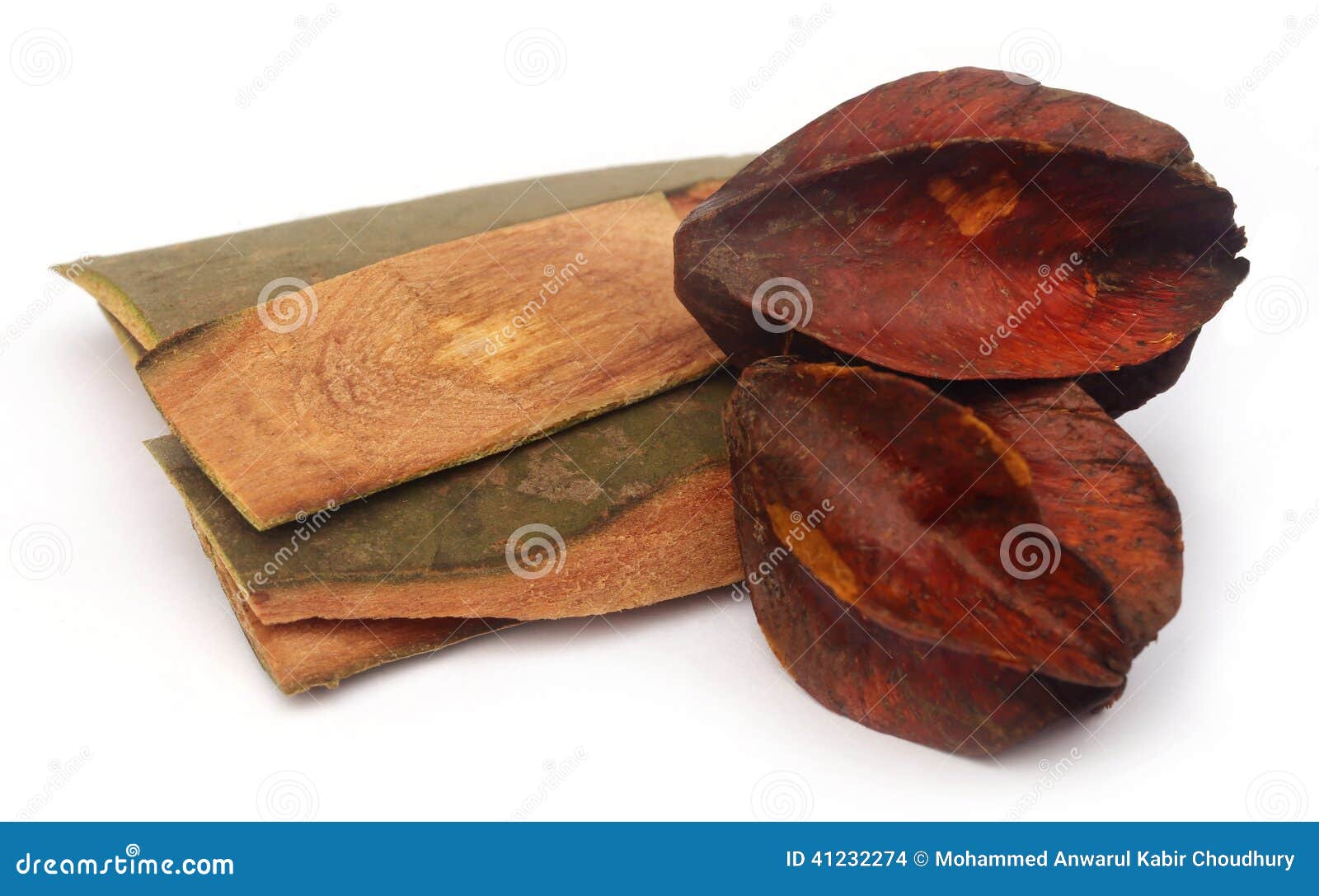 Terminalia Arjuna Is A Tree Of The Genus Terminalia. It Is Commonly ...