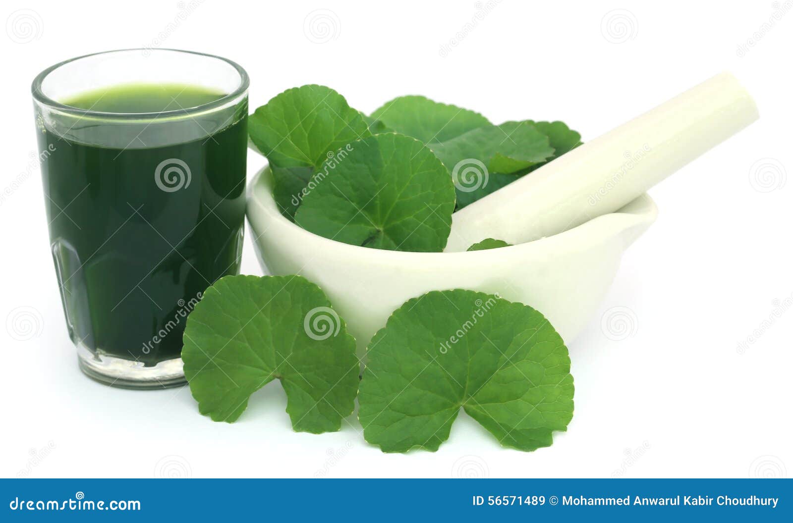 Medicinal Thankuni Leaves Extract Stock Image - Image of centella ...