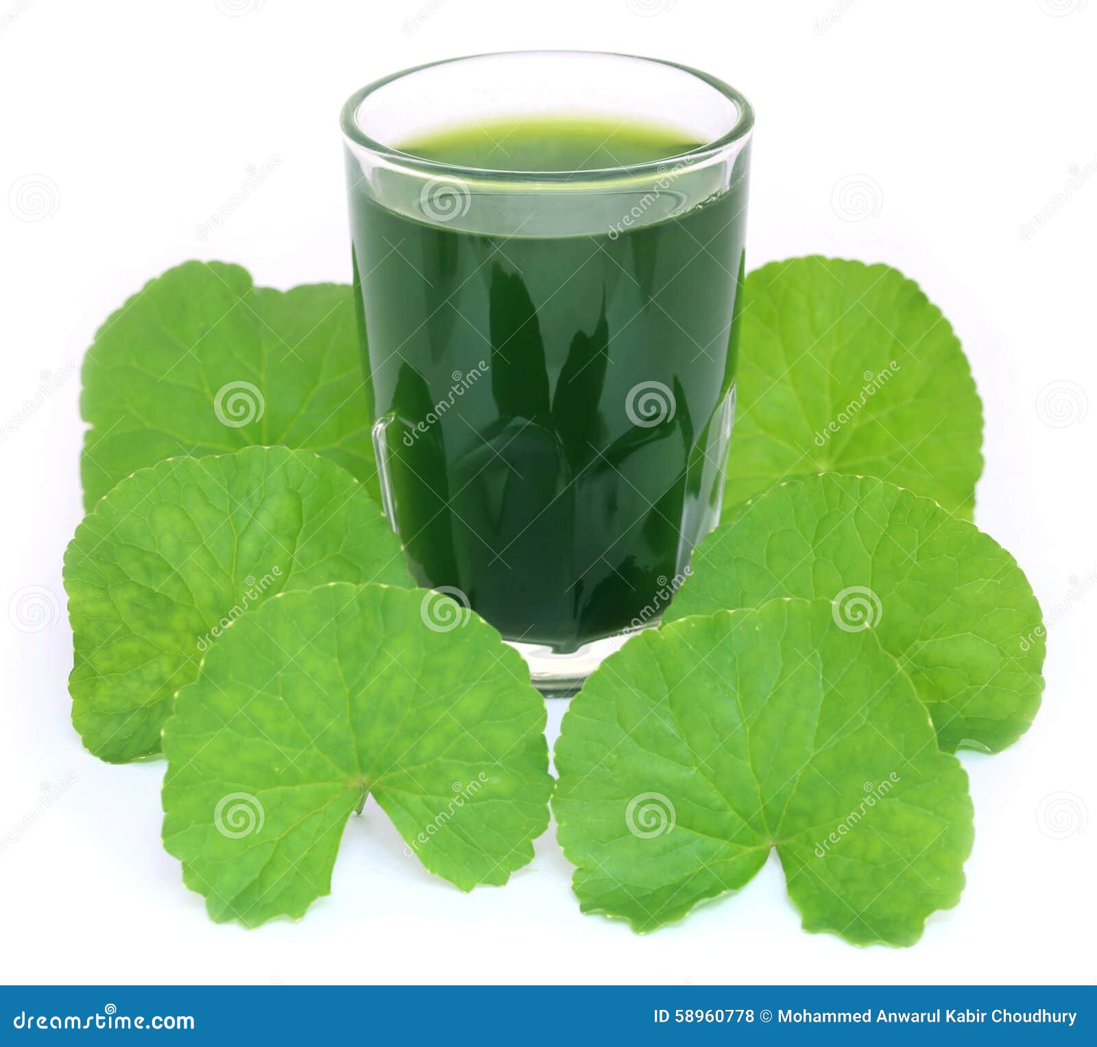 Medicinal Thankuni Leaves with Extract Stock Photo - Image of ...