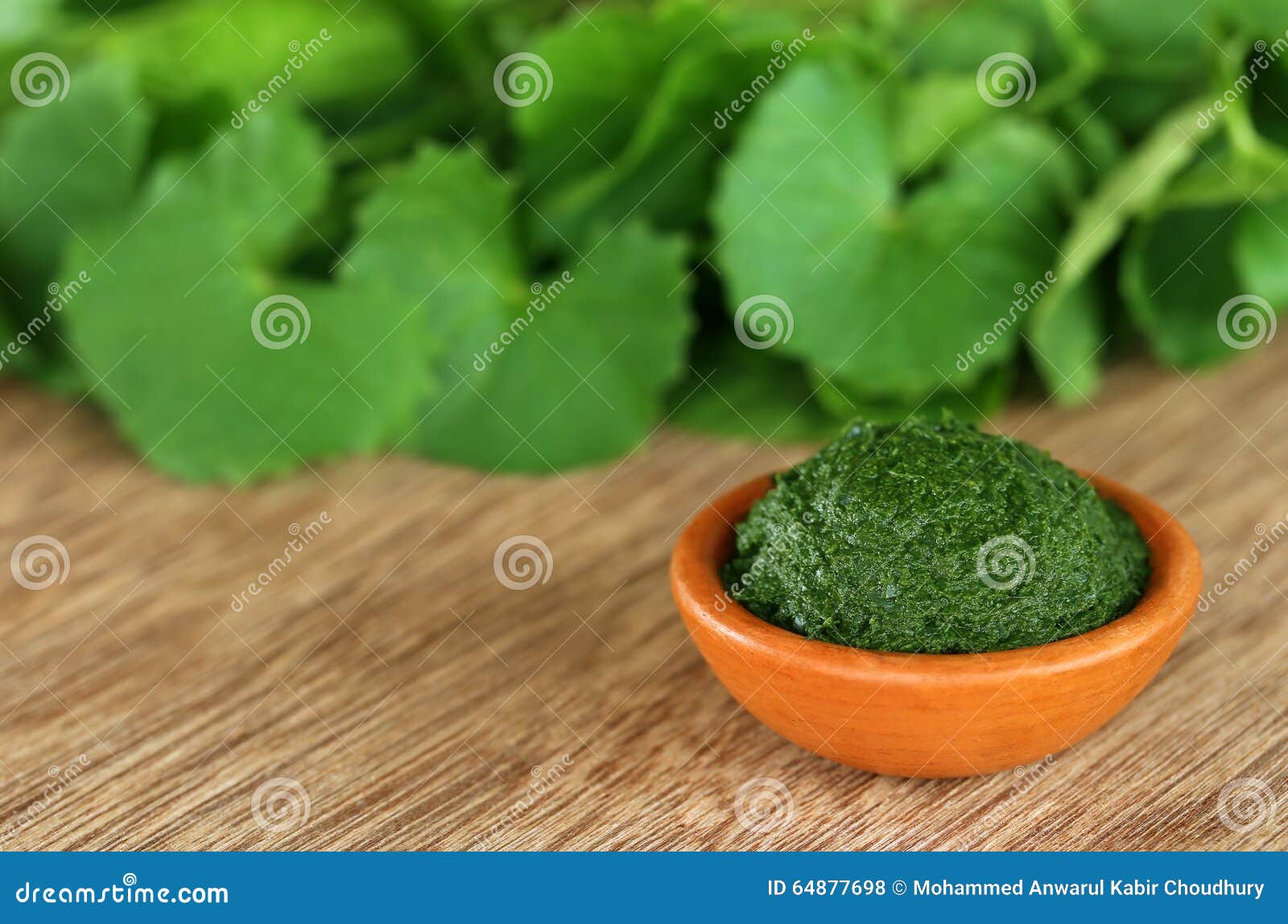 Medicinal thankuni leaves stock photo. Image of bowl - 64877698
