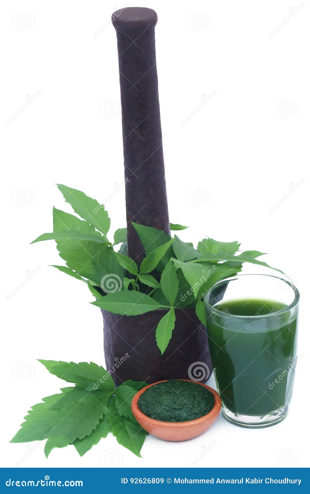 Medicinal Vitex Negundo stock image. Image of decorative - 92626809