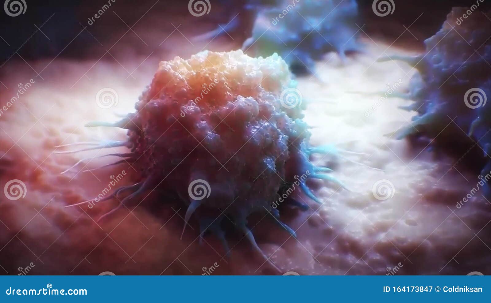 Fat Cells Under the Microscope Stock Image - Image of ready, illness ...