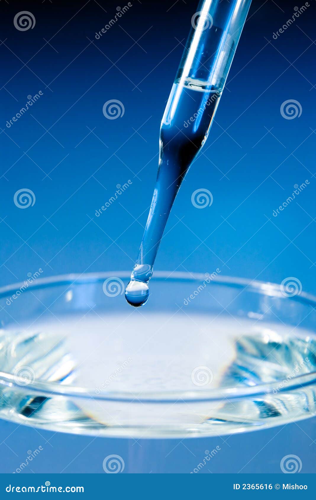 Medicine dropper stock photo. Image of color, liquid, measuring - 2365616