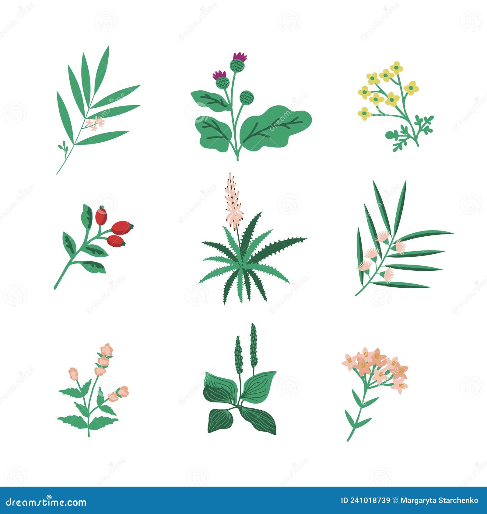Medicine herb set stock vector. Illustration of botanical - 241018739