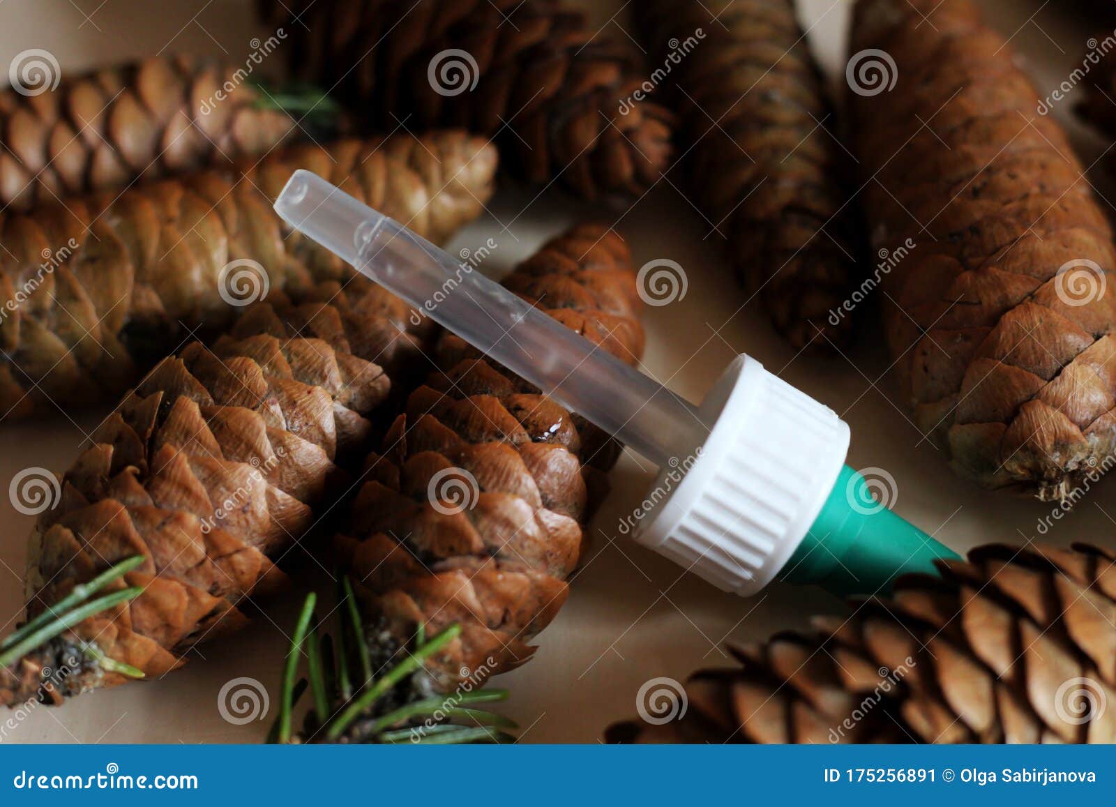Medicine and Pine Cones, Plant Extract. the Scent of the Forest Stock ...