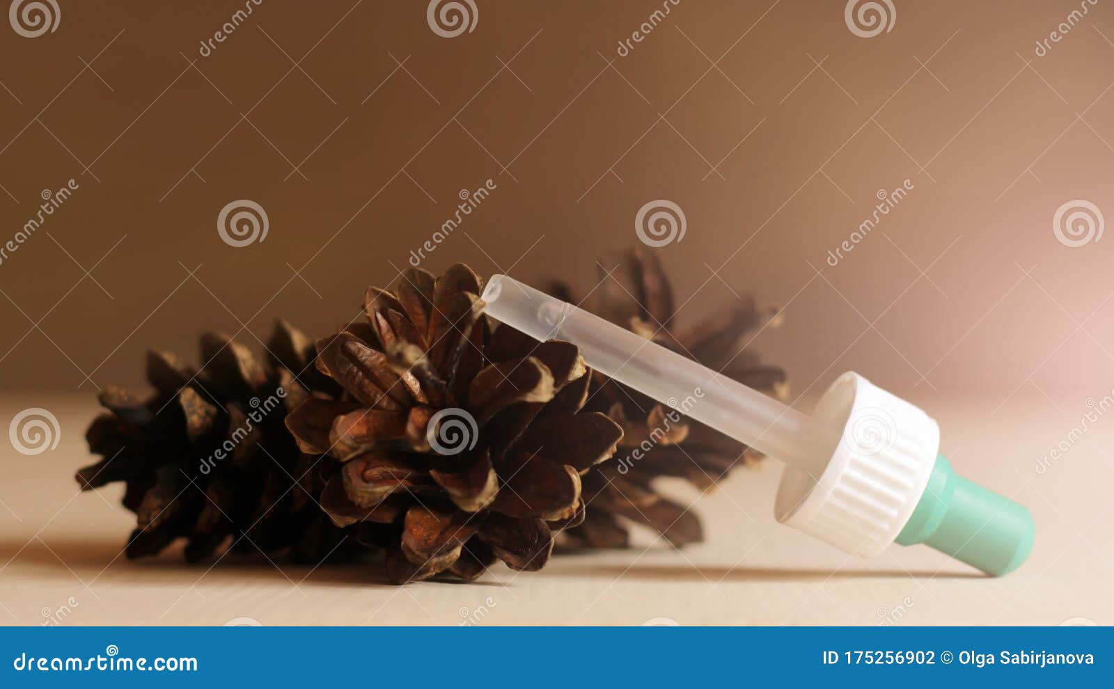 Medicine and Pine Cones, Plant Extract. the Scent of the Forest Stock ...