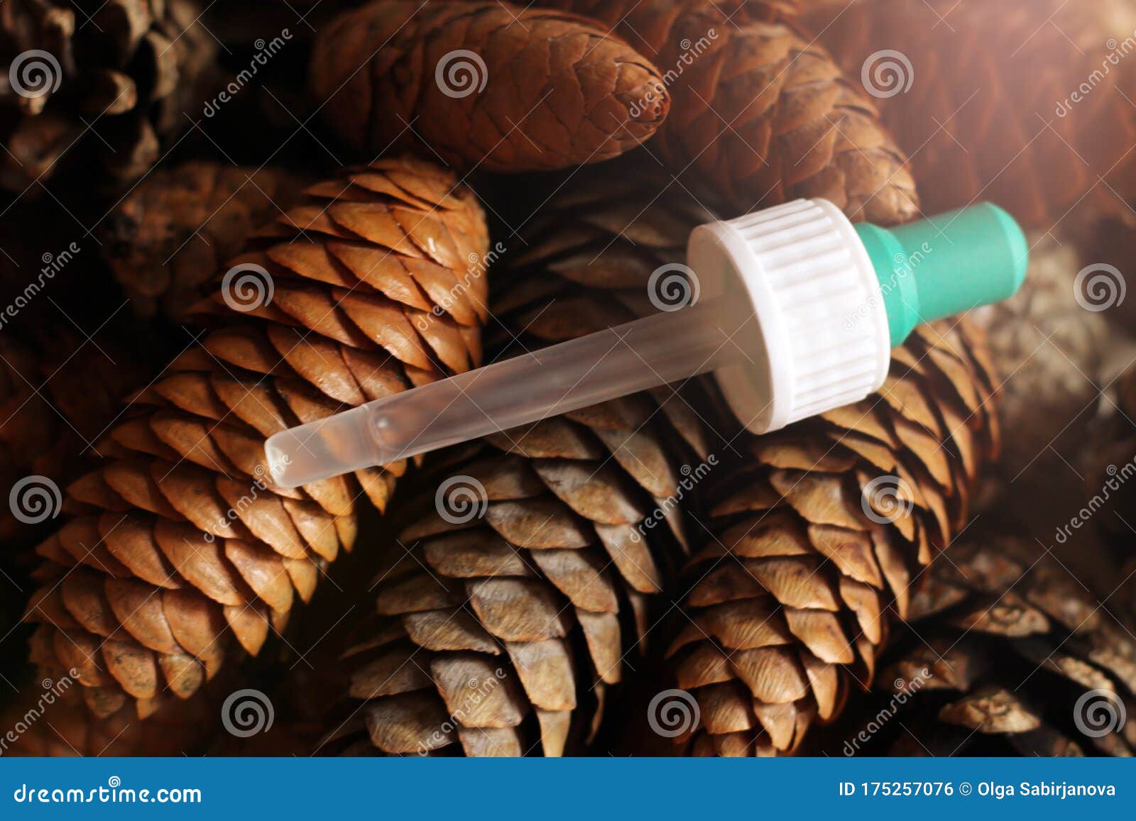 Medicine and Pine Cones, Plant Extract. the Scent of the Forest Stock ...
