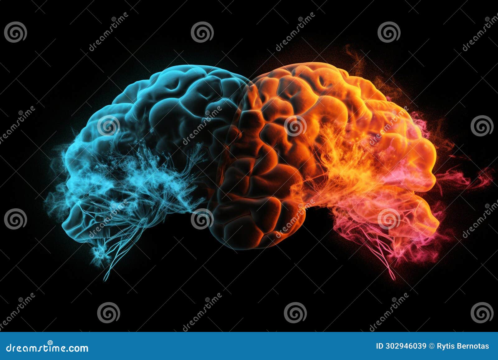 Human Brain Abstract Illustration Colored in Two Different Colors Stock ...