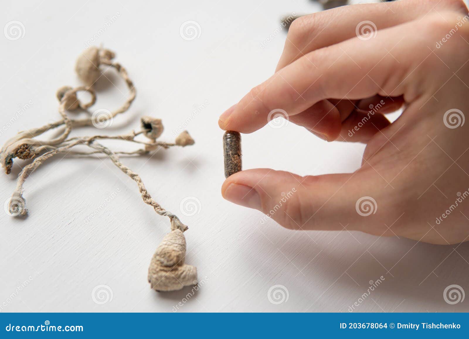 Medicines Physical Energy Micro Dosing Psilocybin Mushroom. Psychedelic ...