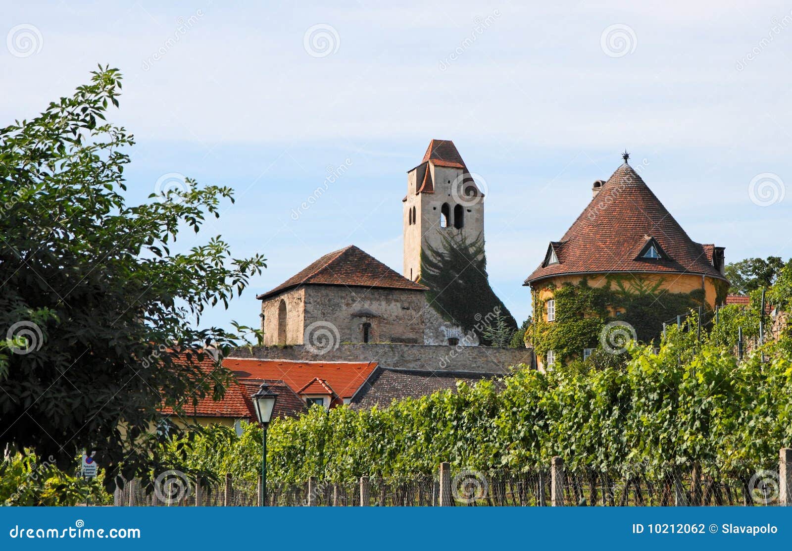 Medieval Abbey among Vineyards in Durnstein Stock Photo - Image of crop ...