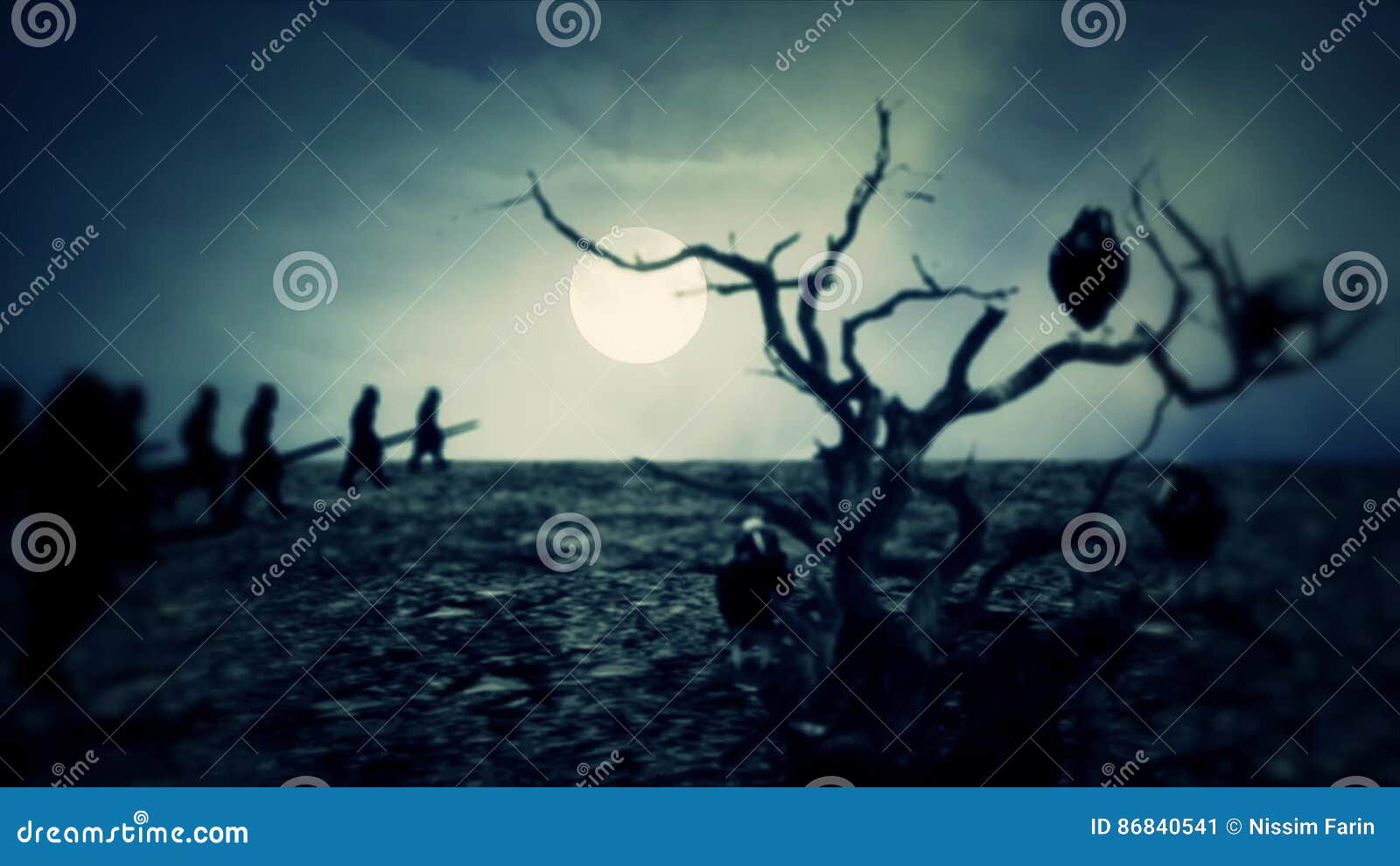 Medieval Army March To War at Night with a Dead Tree and Raves Stock ...