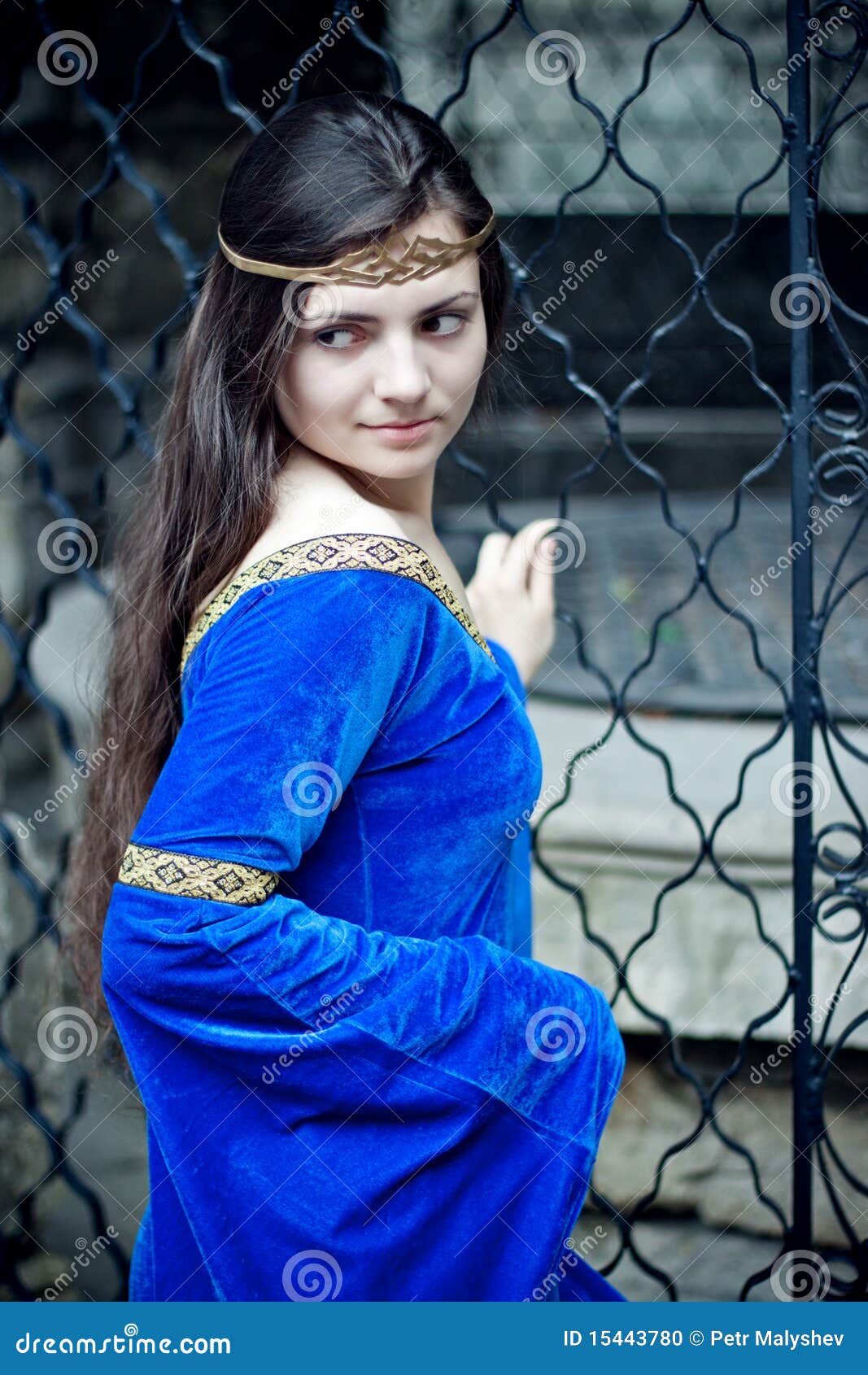 Medieval beauty stock photo. Image of grey, princess - 15443780