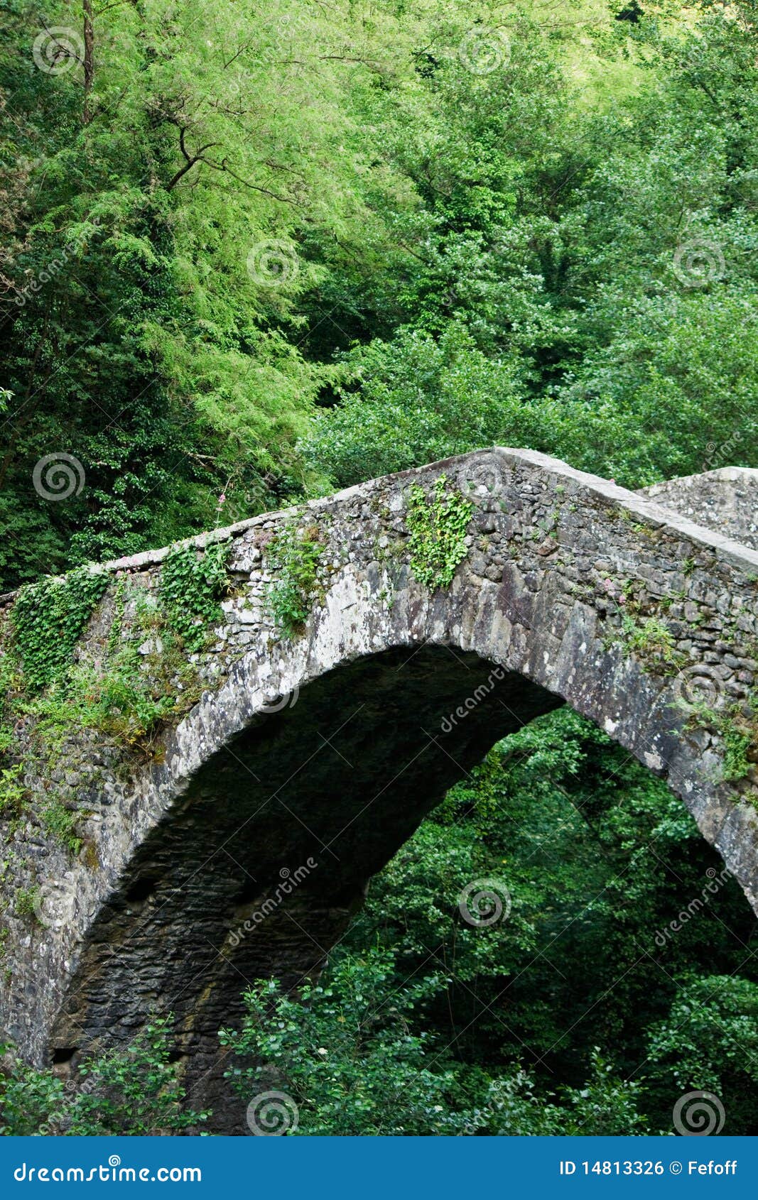 Medieval Bridge stock photo. Image of architecture, niches - 14813326
