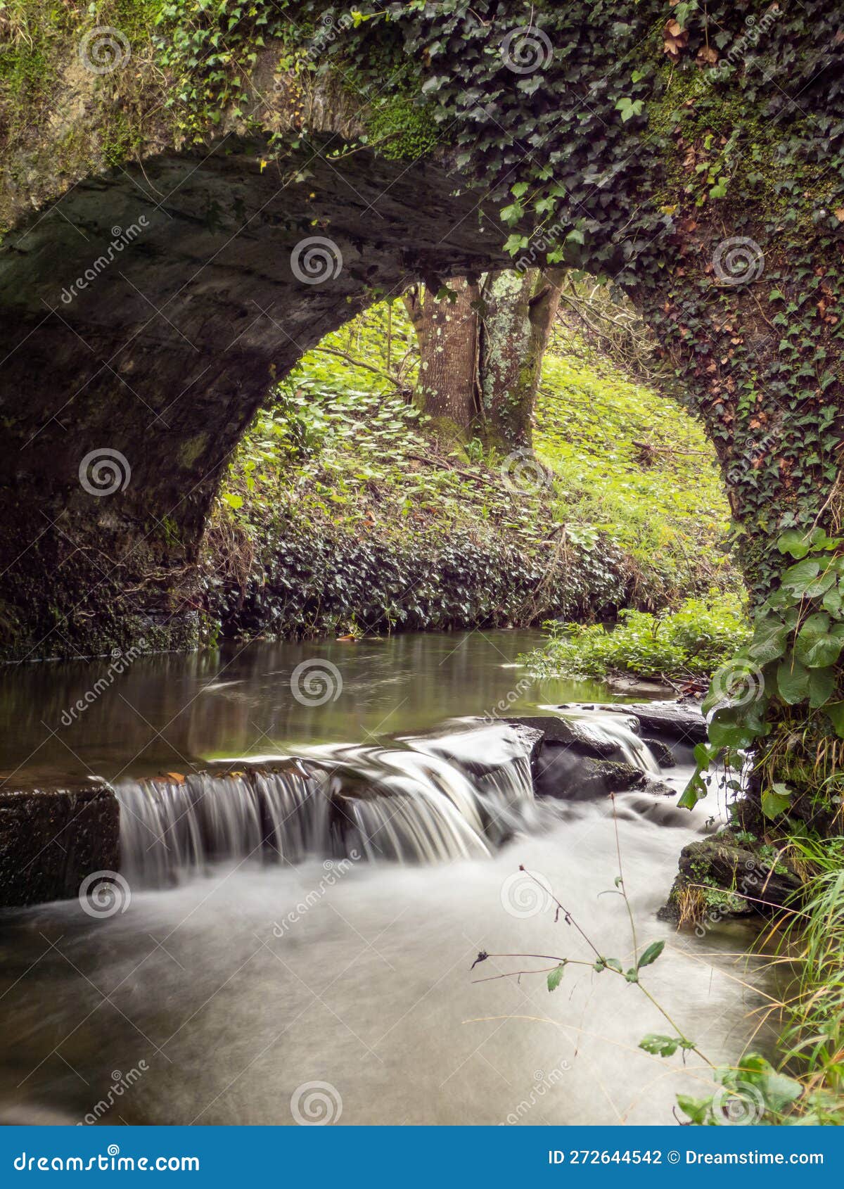 Medieval Bridge Arch Where You Can See a River with a Small Waterfall ...