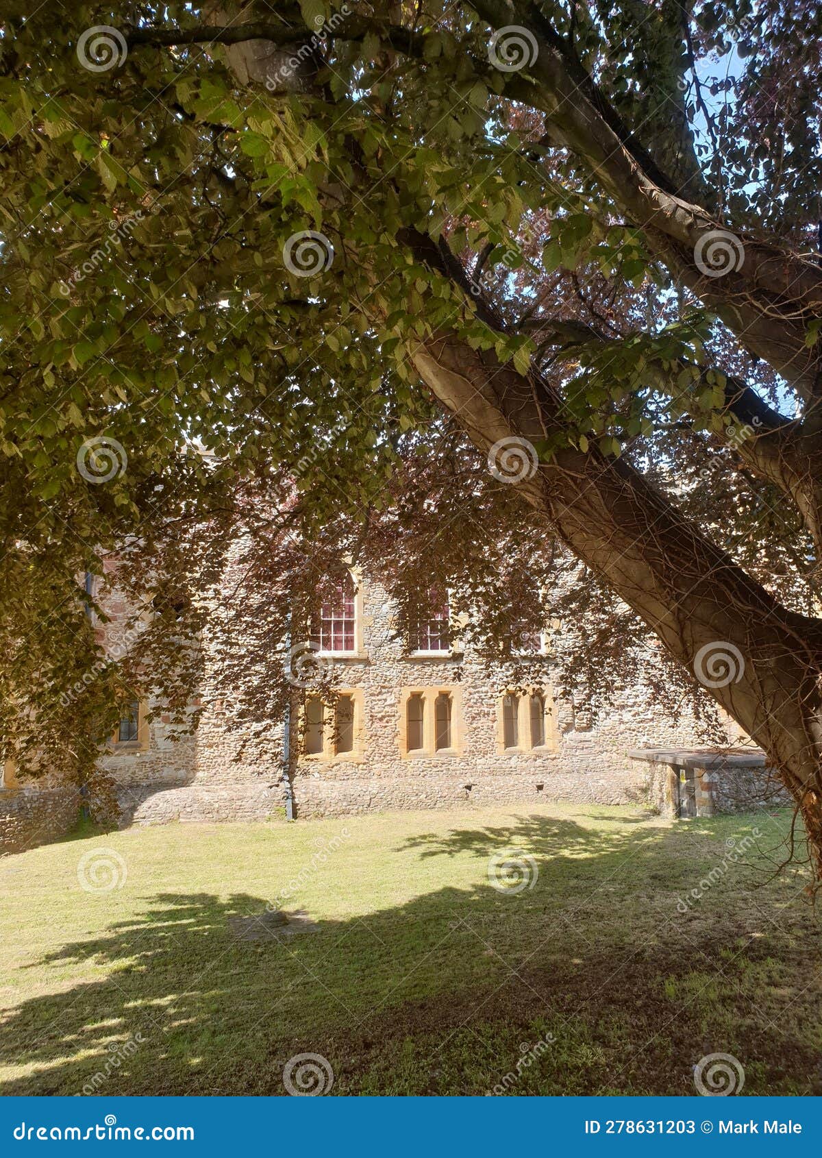 The Castle Hiding Behind a Tree Stock Image - Image of england, estate ...