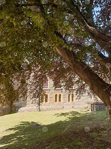 The Castle Hiding Behind a Tree Stock Image - Image of england, estate ...