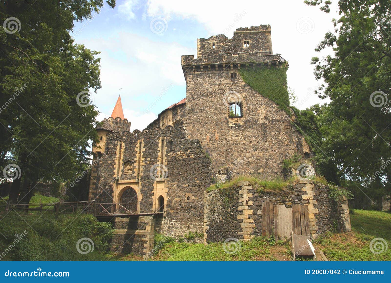 Medieval castle gate stock photo. Image of travel, wall - 20007042