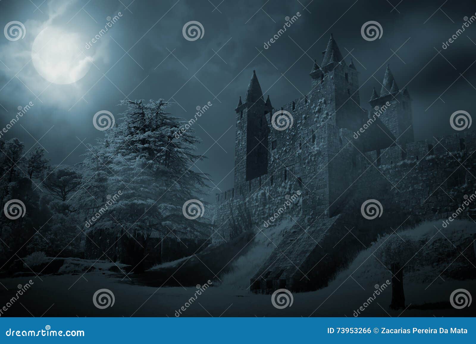 Medieval castle at night stock photo. Image of moonlight - 73953266