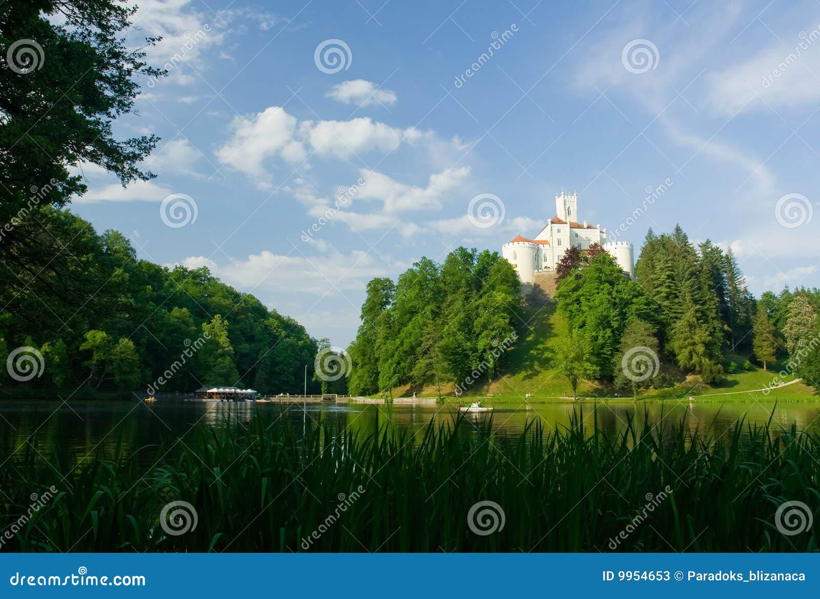 Medieval Castle Over Lake Scene Picture. Image: 9954653