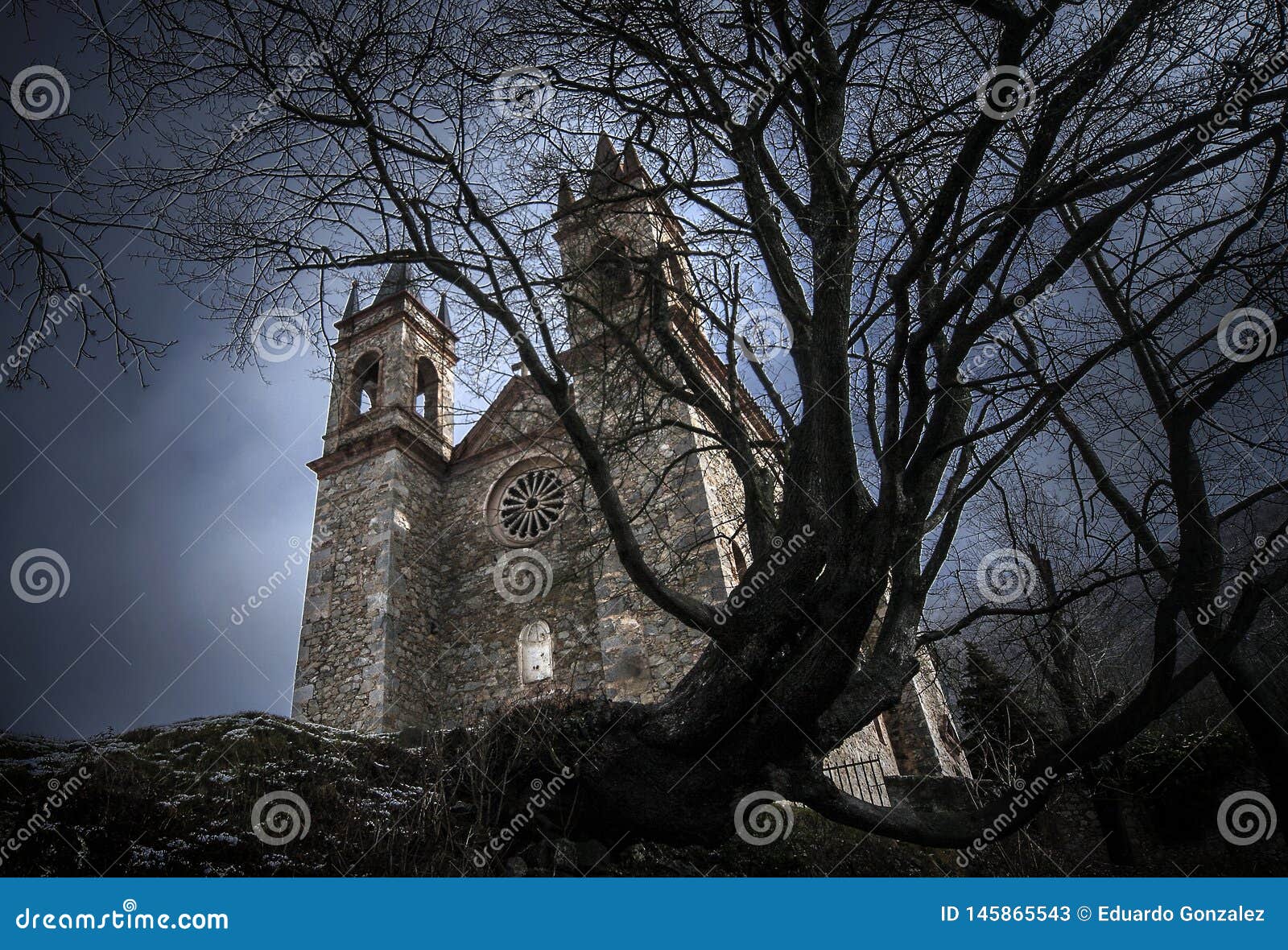 Medieval Castle Romanic with Old Dead Tree in Front Stock Image - Image ...