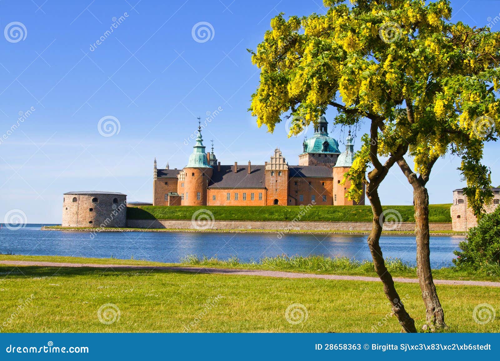 Medieval Castle in Swedish Color. Stock Image - Image of dandelion ...
