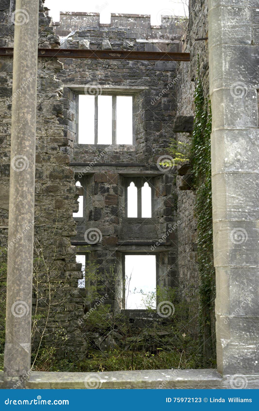 Medieval Castle Windows Royalty-Free Stock Photo | CartoonDealer.com ...