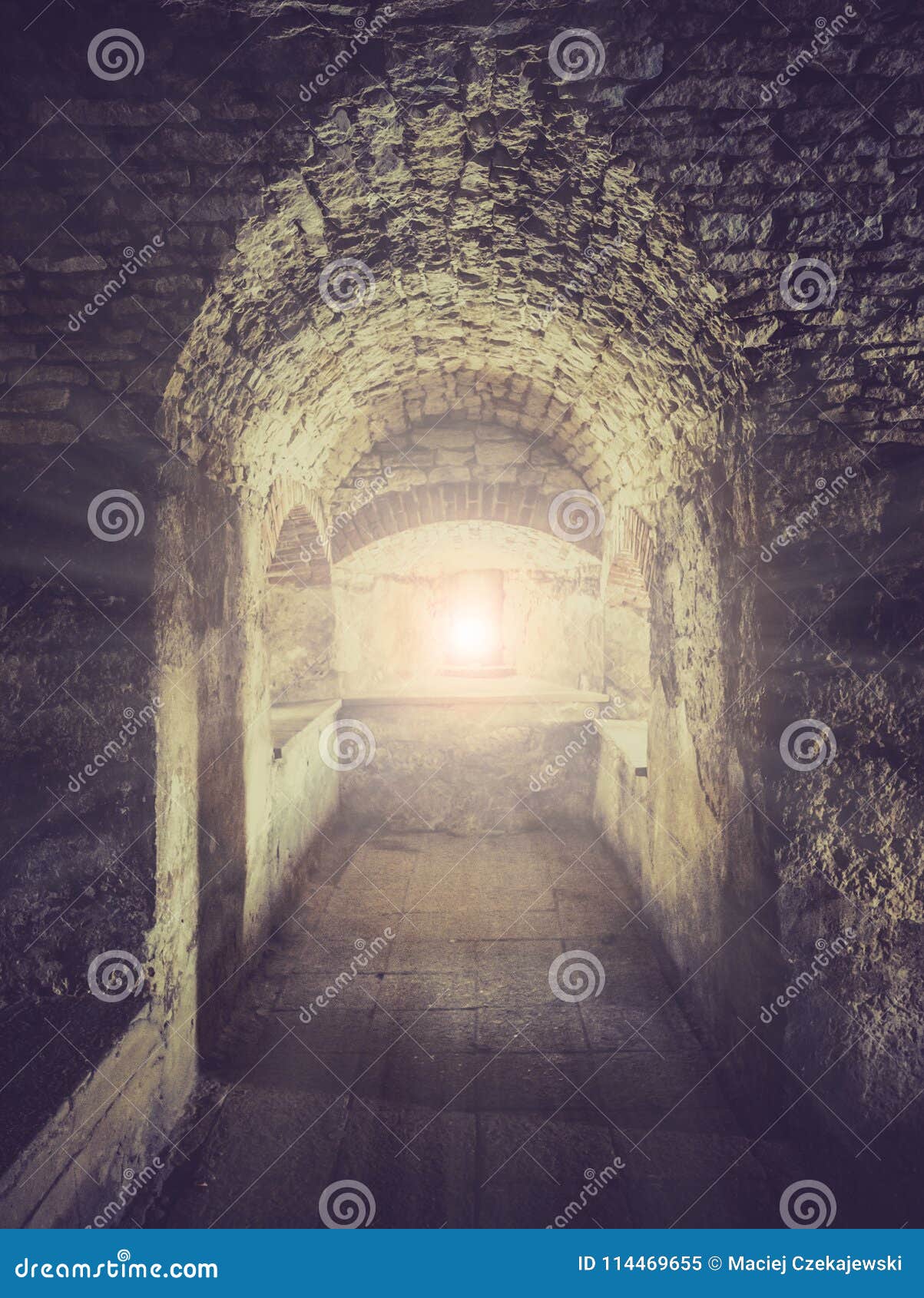 Medieval dungeon corridor stock image. Image of castle - 114469655