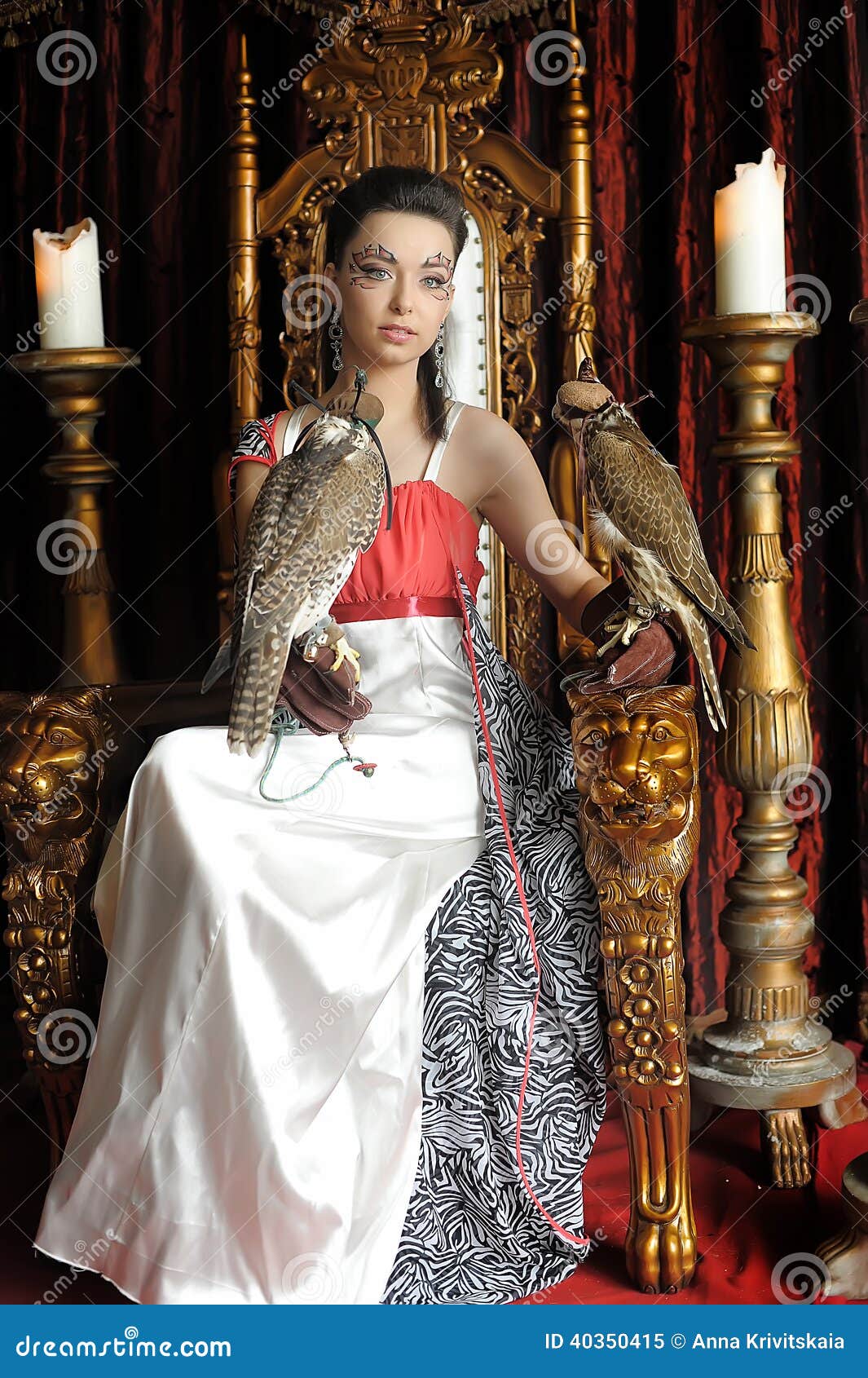 Medieval Fantasy Princess with Two Falcons Stock Image - Image of ...
