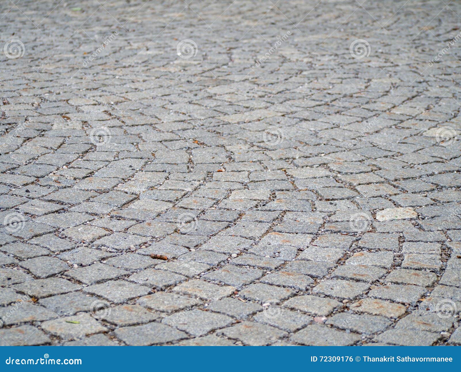 Medieval Floor Tiles in Arching Pattern Stock Photo - Image of vintage ...