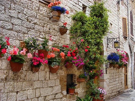 Medieval flower display stock image. Image of houses - 17110123