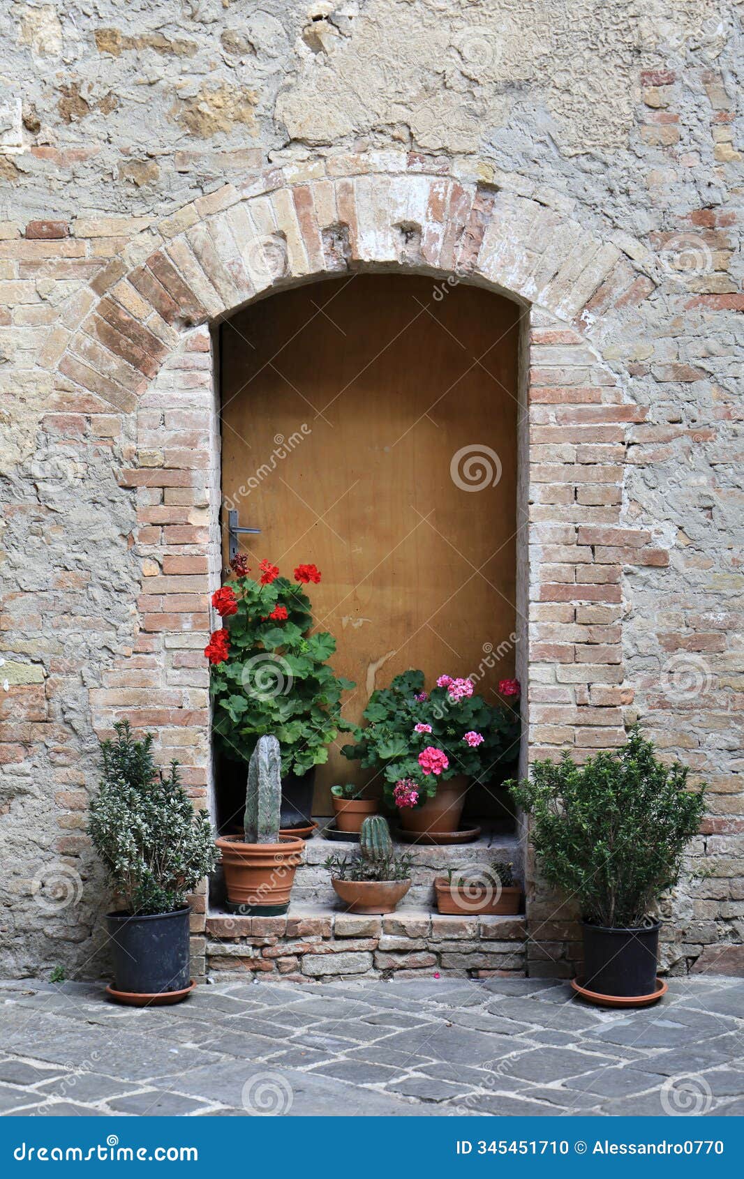 Medieval Front Door with Plants Stock Photo - Image of pottery, front ...