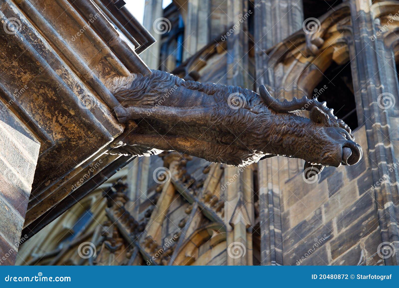 Medieval gargoyle stock photo. Image of religion, beast - 20480872
