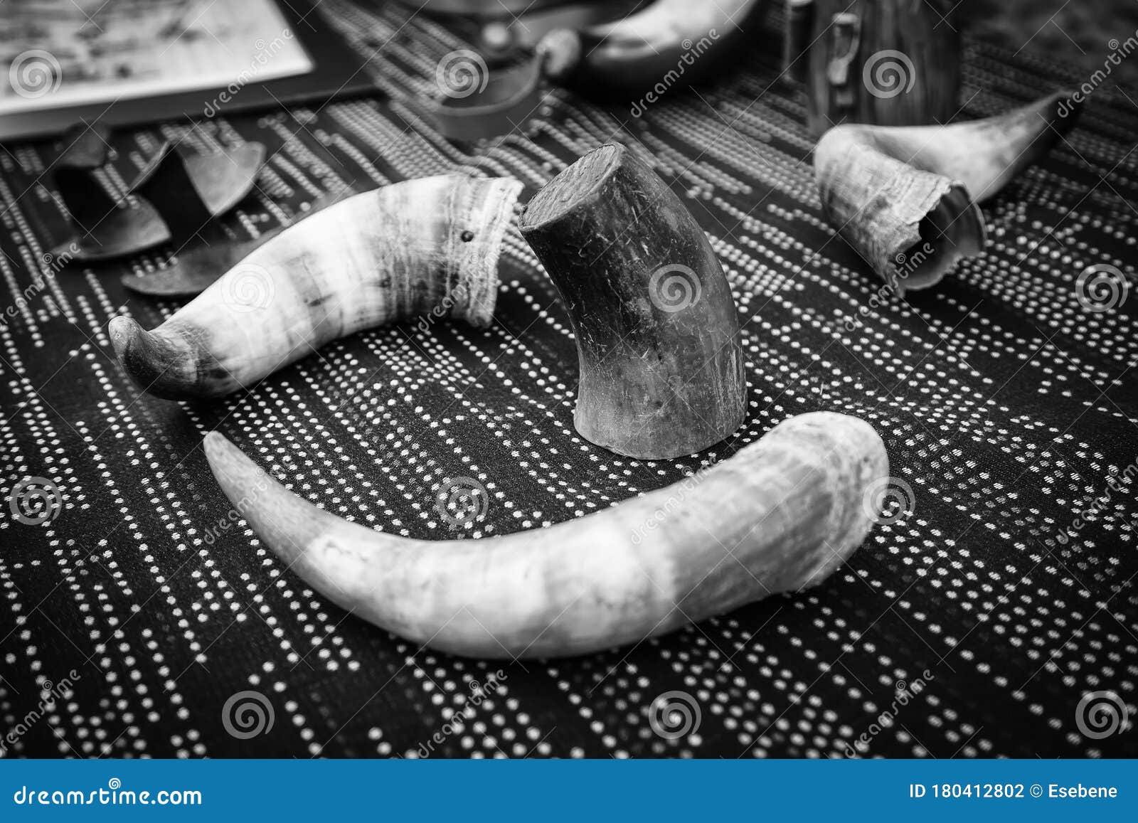 Medieval Horns Prepared and Decorated Stock Photo - Image of antique ...