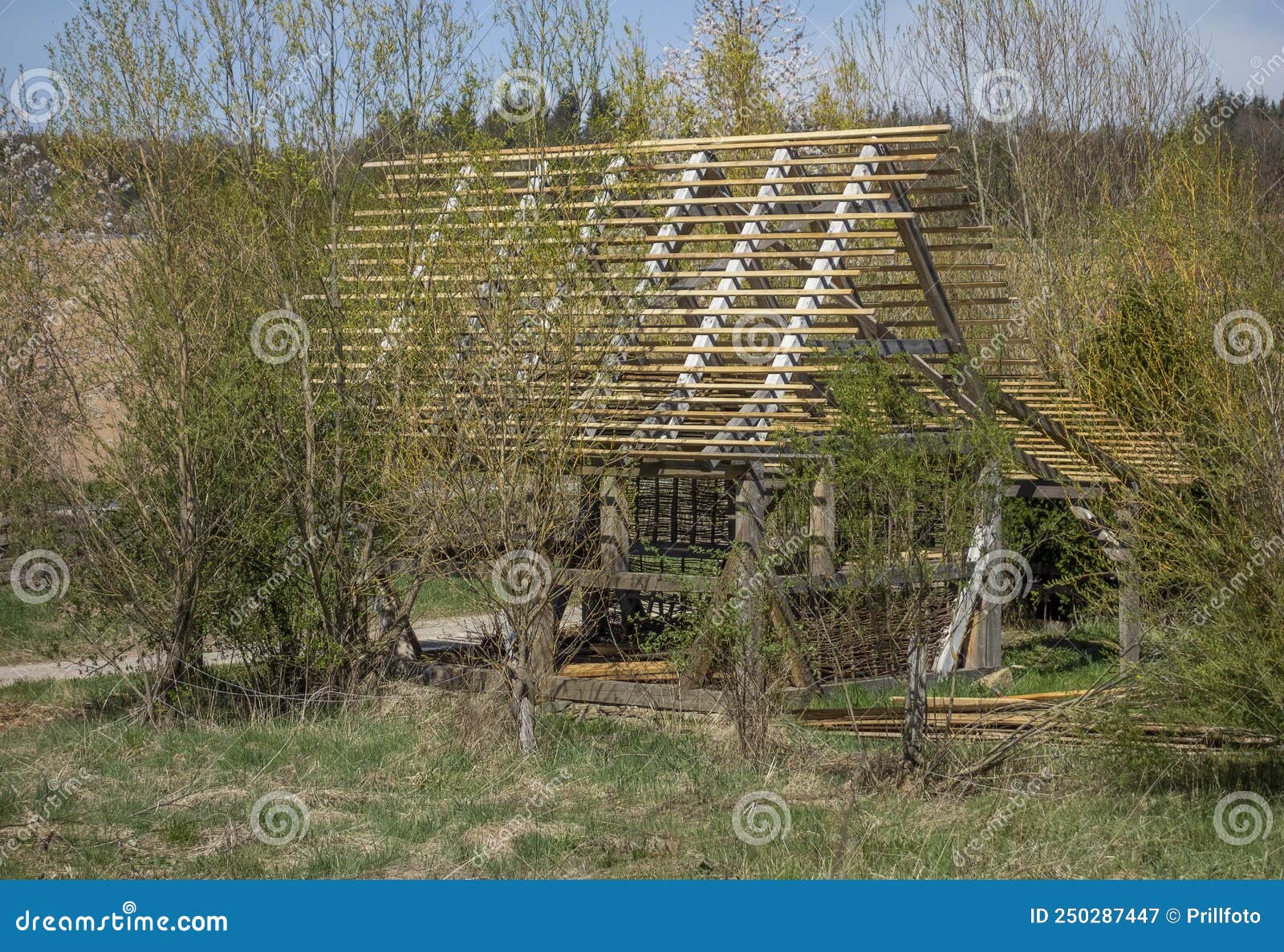 Medieval housing scenery stock image. Image of shack - 250287447