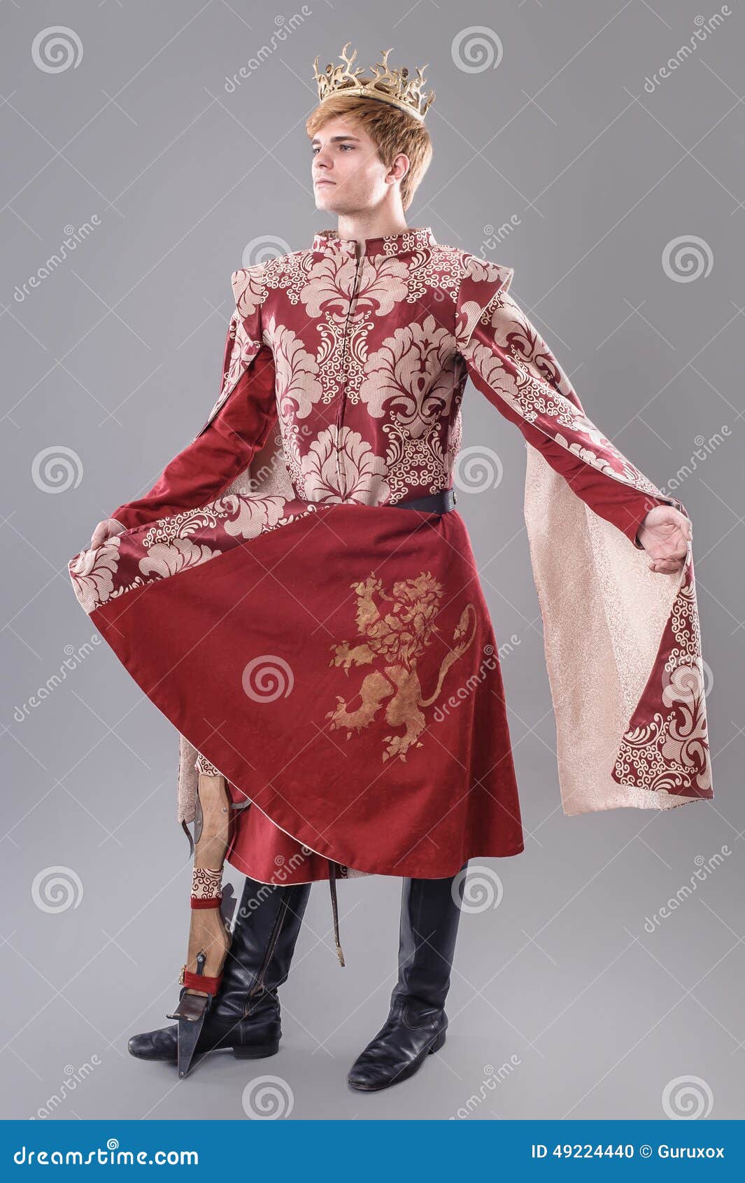 Medieval King stock photo. Image of costume, history - 49224440