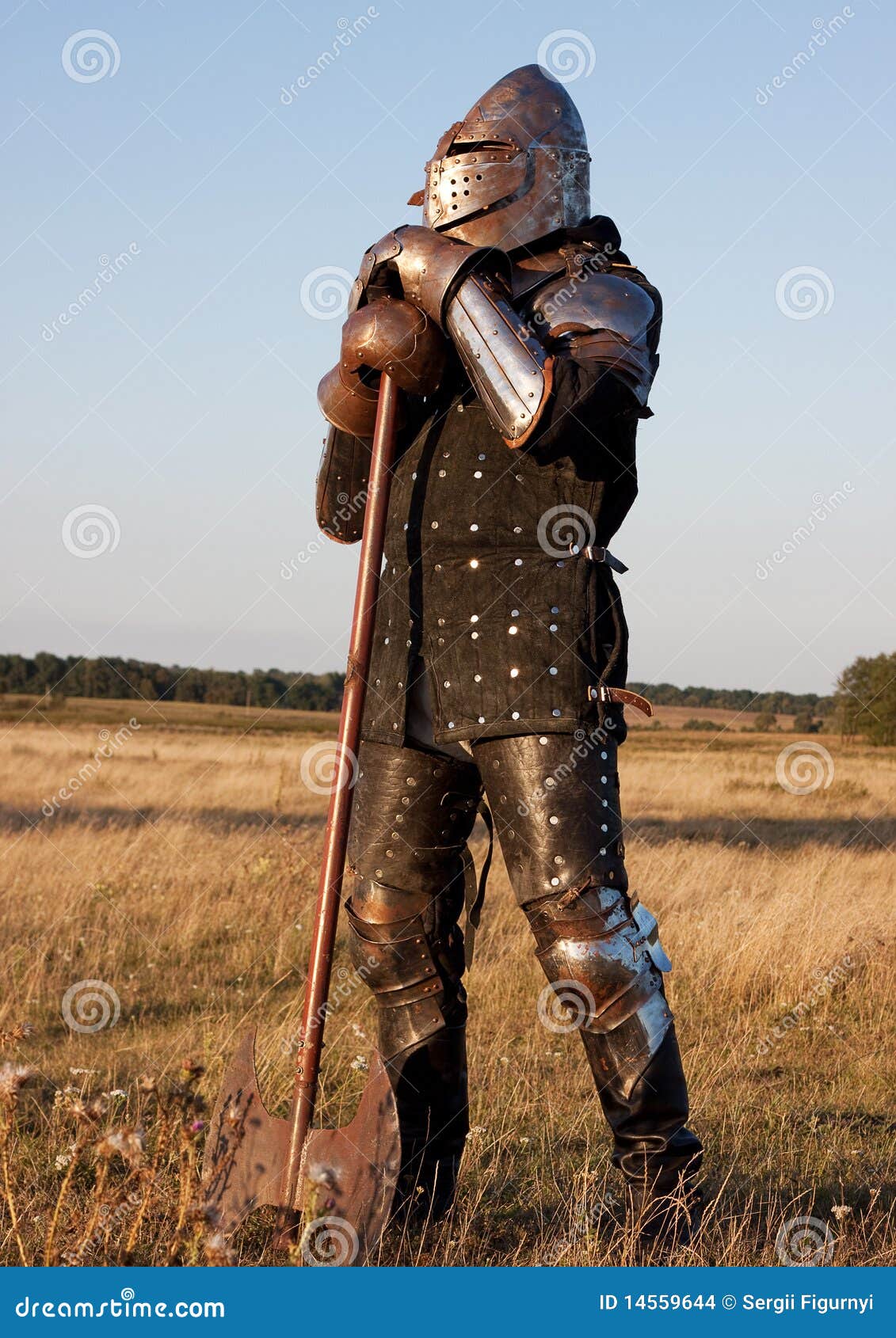 Medieval knight stock photo. Image of guard, ages, ancient - 14559644