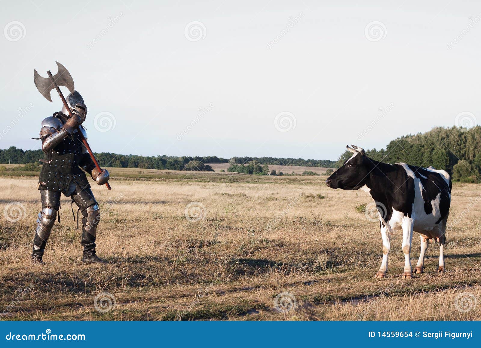 Medieval knight stock photo. Image of knight, hunt, armor - 14559654