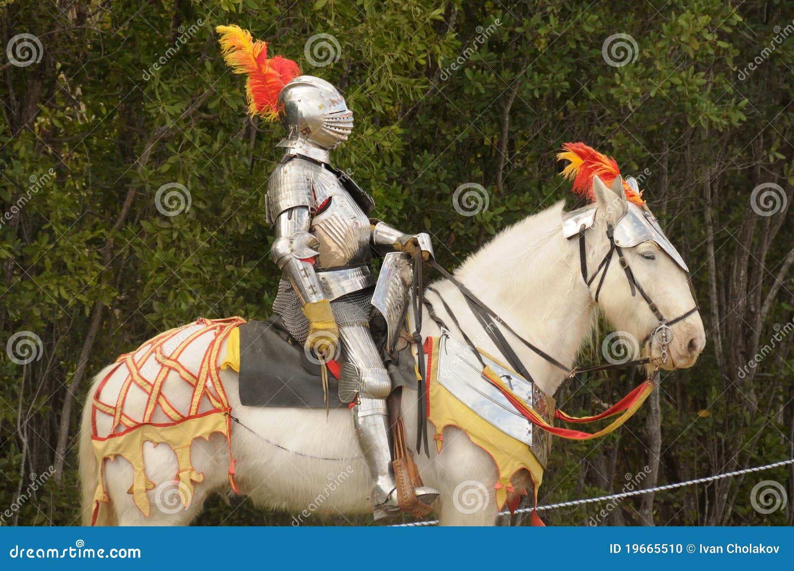 Medieval knight on horse editorial image. Image of shine - 19665510