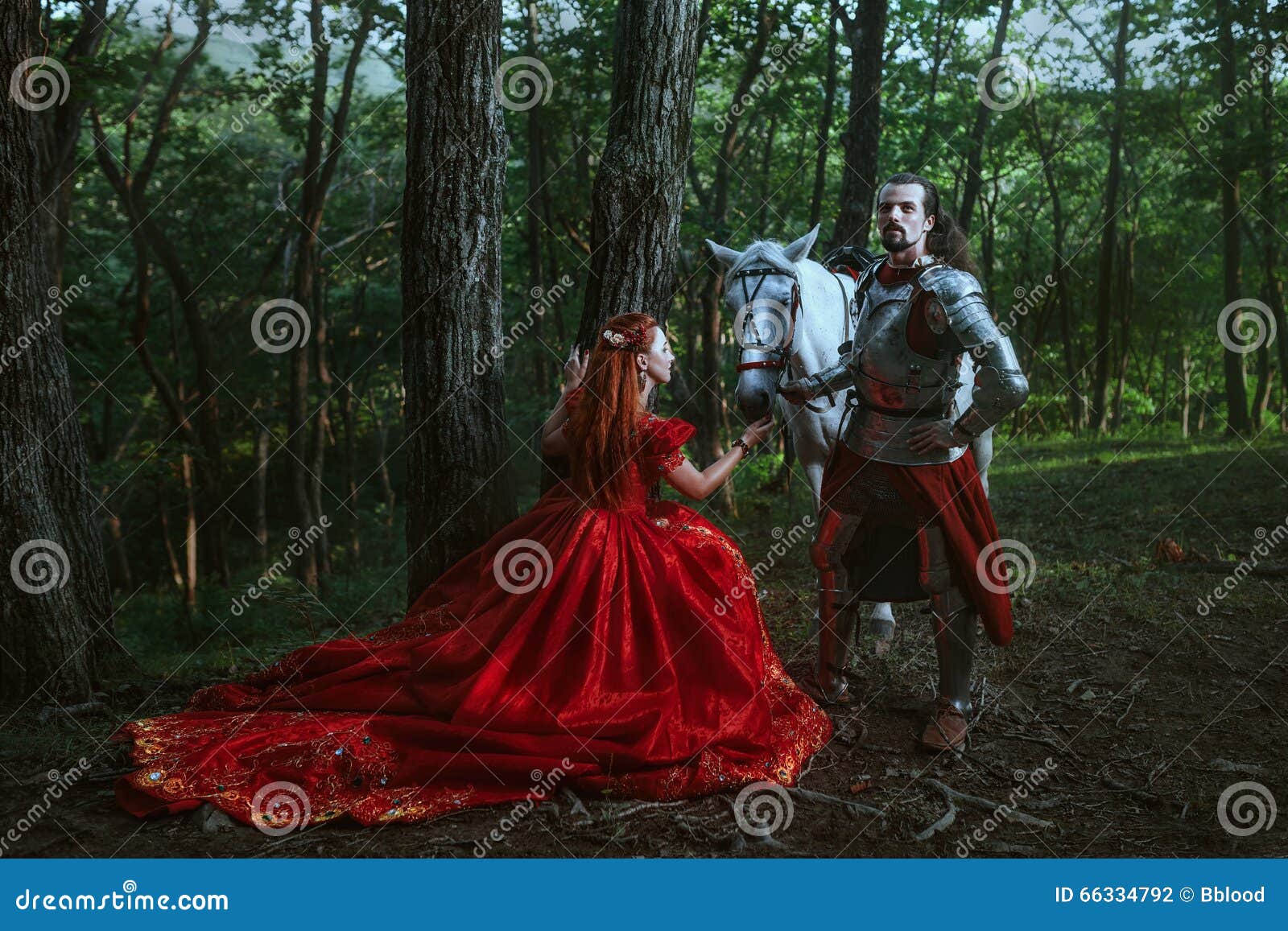 Medieval knight with lady stock photo. Image of bride - 66334792