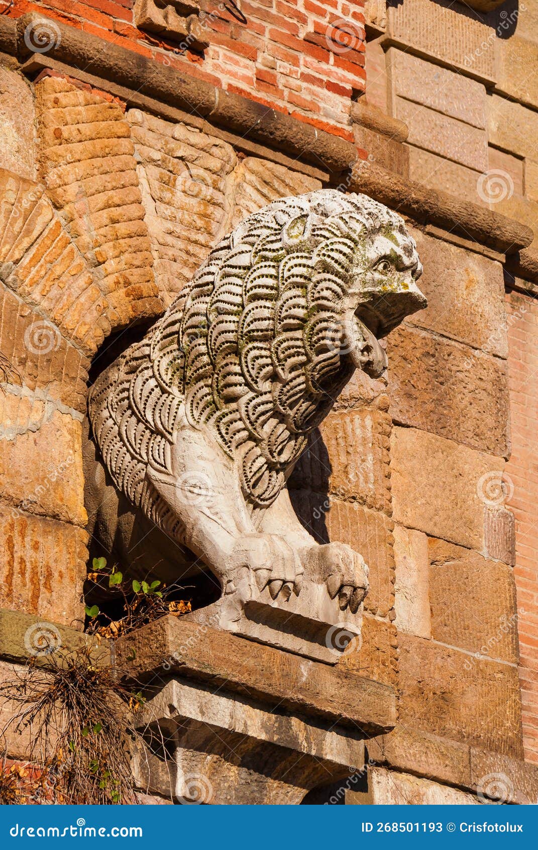 Medieval lion in Lucca stock image. Image of italy, stone - 268501193