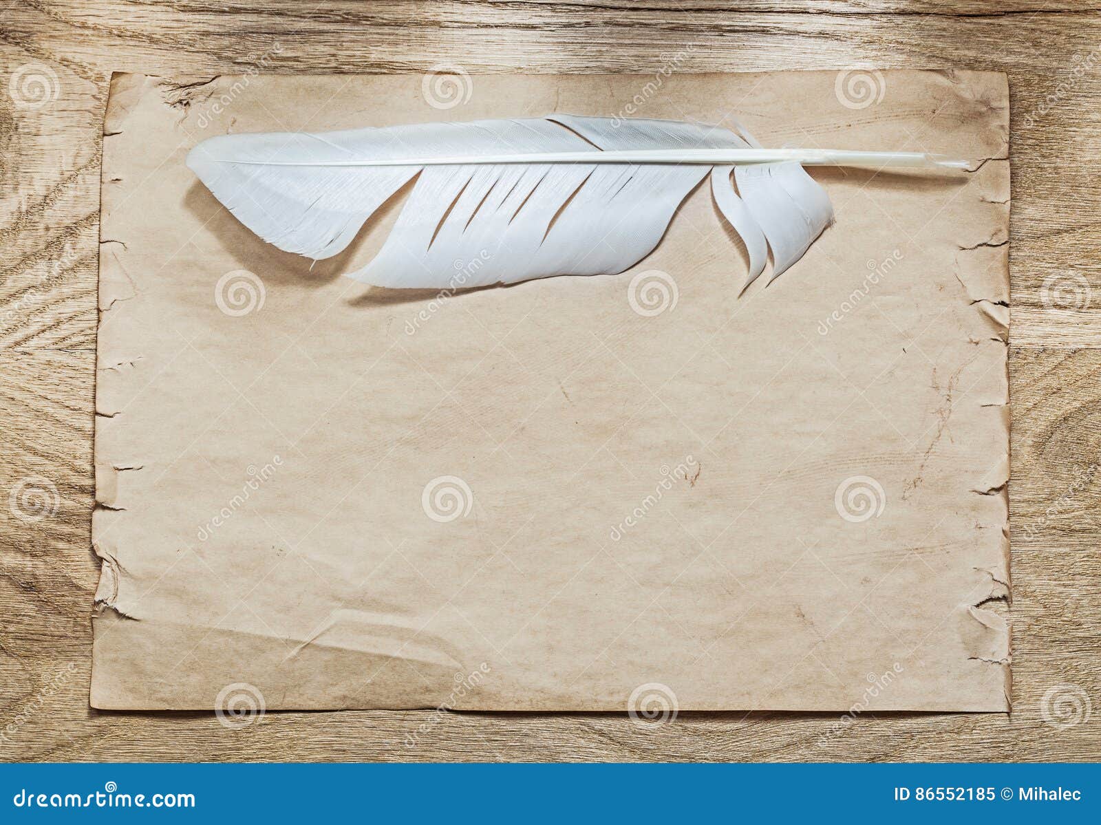Medieval Parchment Feather on Wooden Board Stock Image - Image of ...