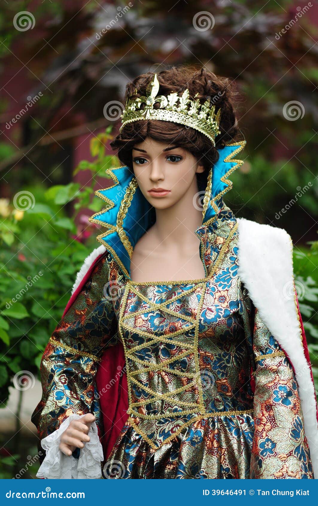 Medieval Queen stock image. Image of queen, female, medieval - 39646491