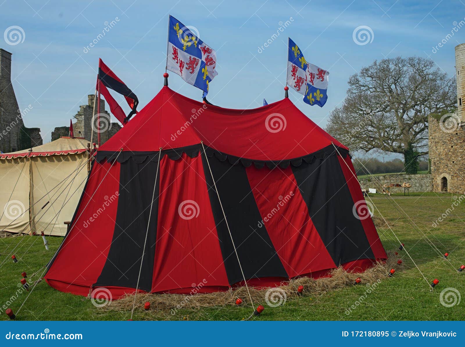Medieval Red and Black War Tent with Normandy Flags Waving Stock Image ...