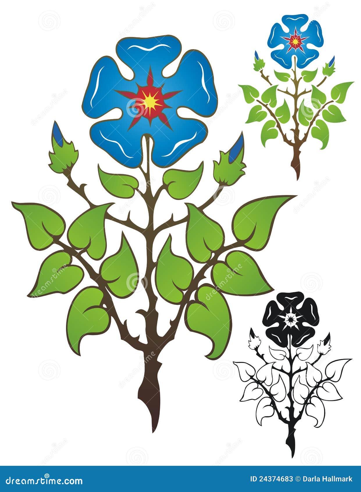 Medieval Rose Stock Photos - Image: 24374683