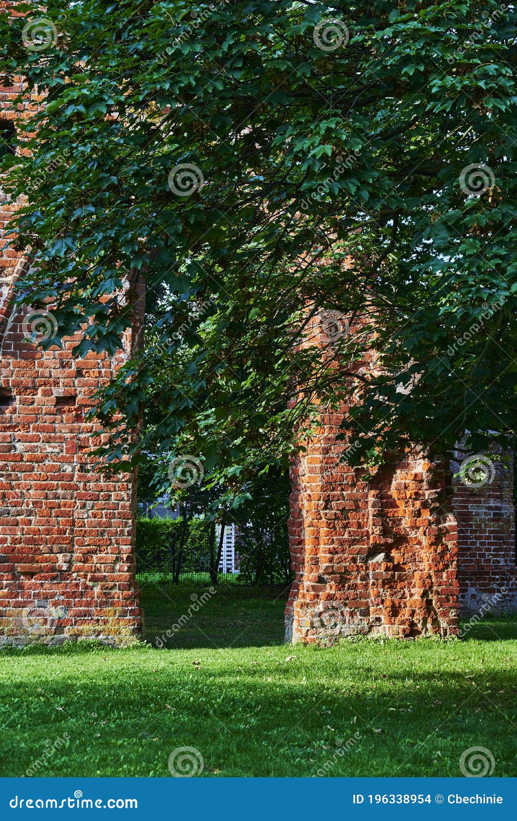 Medieval Ruined Monastery in a Public Park in Germany Stock Photo ...