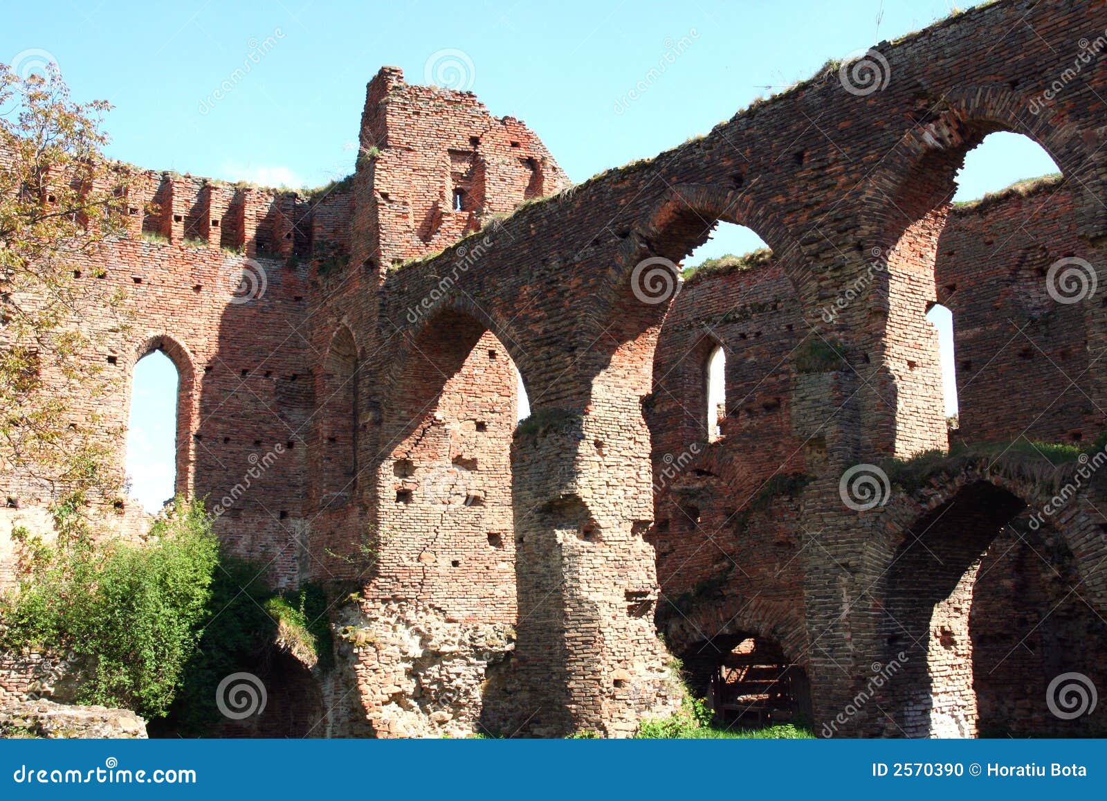 Medieval ruins stock photo. Image of plants, natural, church - 2570390