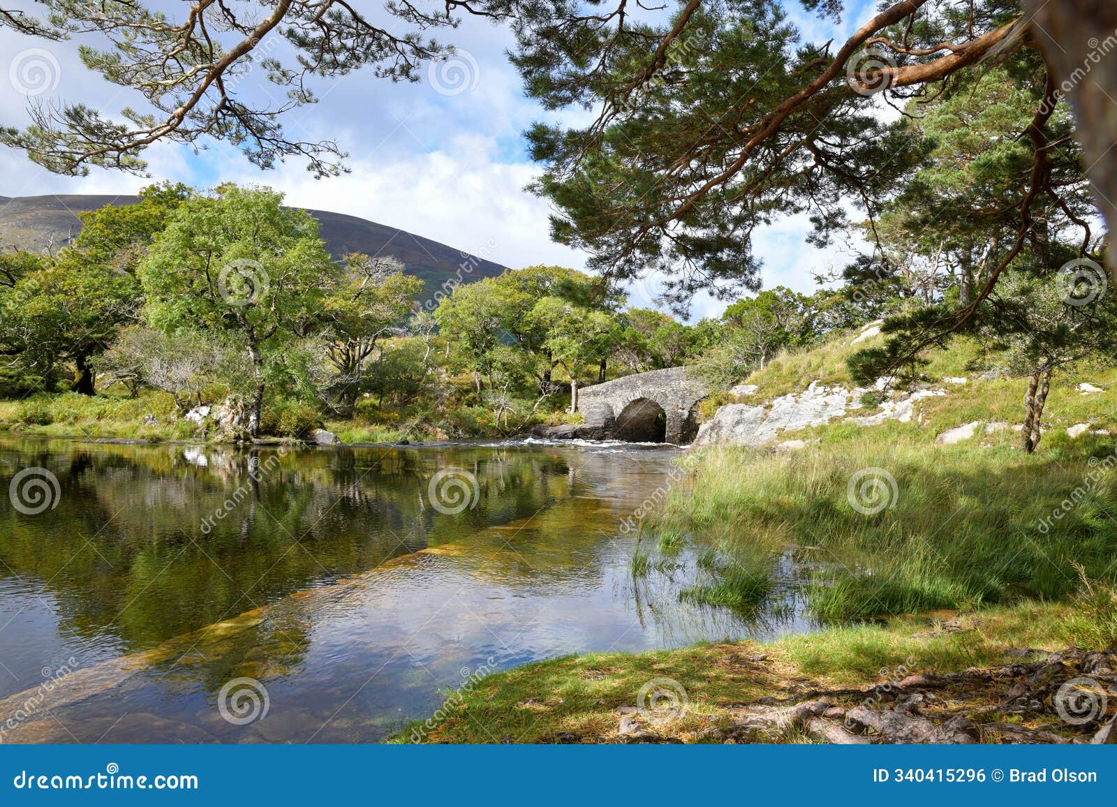 Medieval Stone Arch Bridge Over the River in Ireland Stock Photo ...