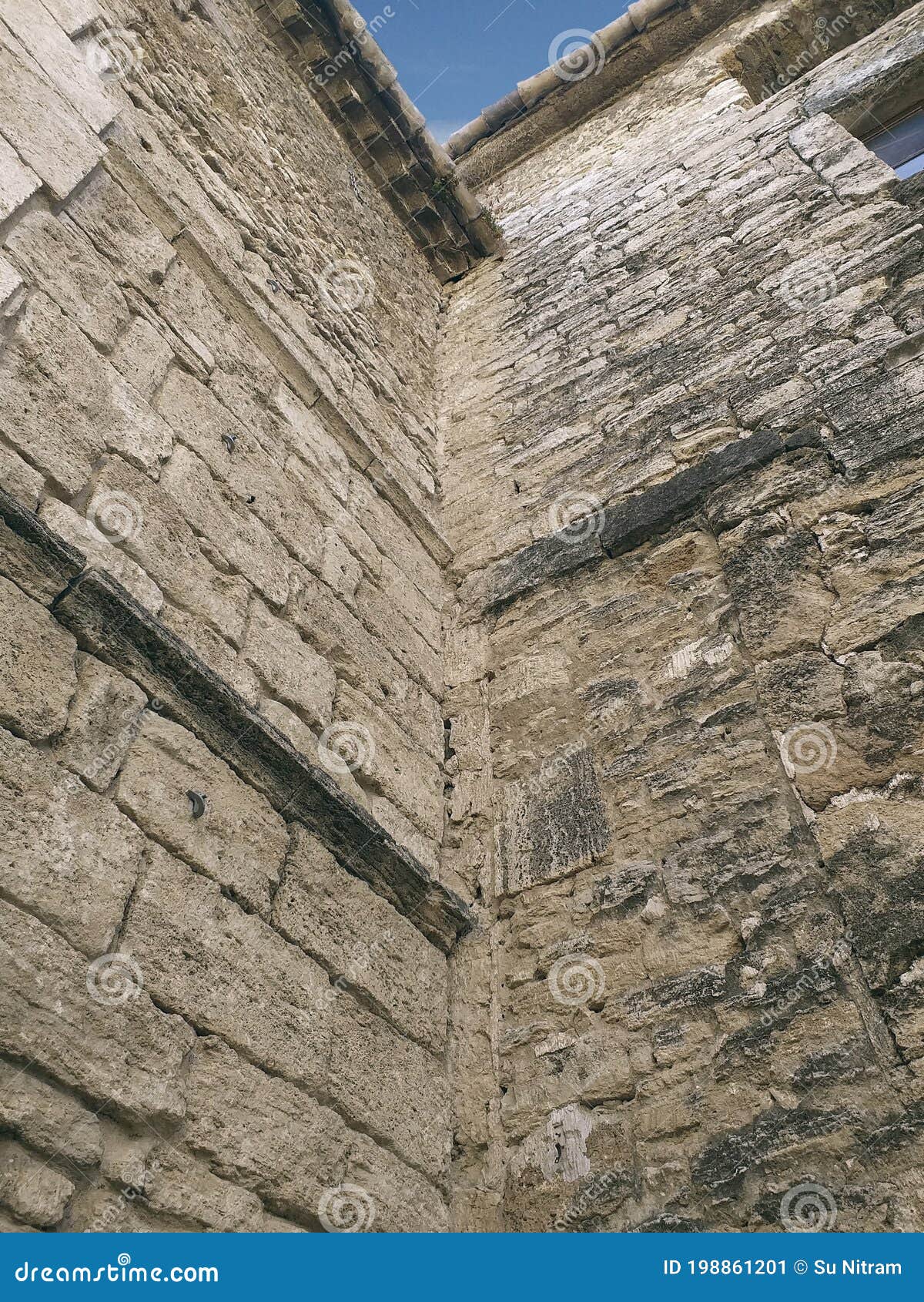 Cladding Pattern Royalty-Free Stock Photo | CartoonDealer.com #45732933